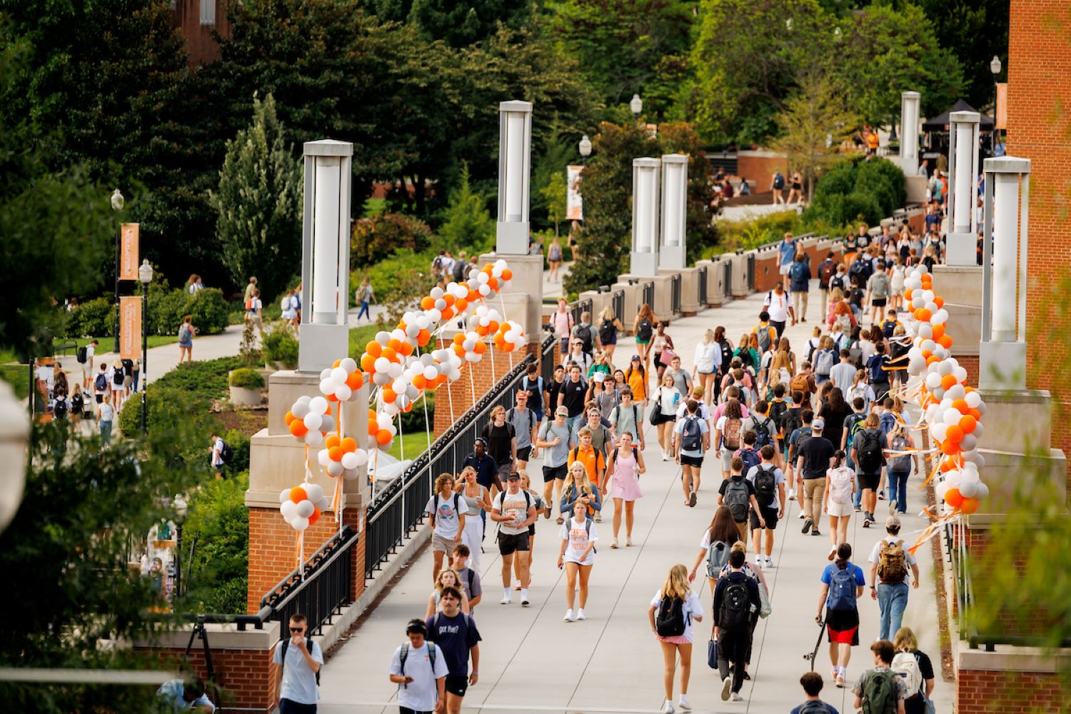 Nursing, Supply Chain, Engineering Programs Among Top in US News Best ...