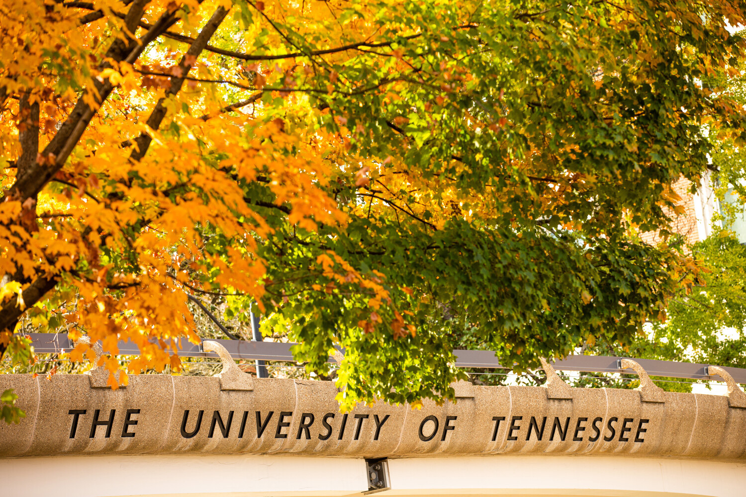 Leaders Highlight Enrollment, Career-Readiness Program - News