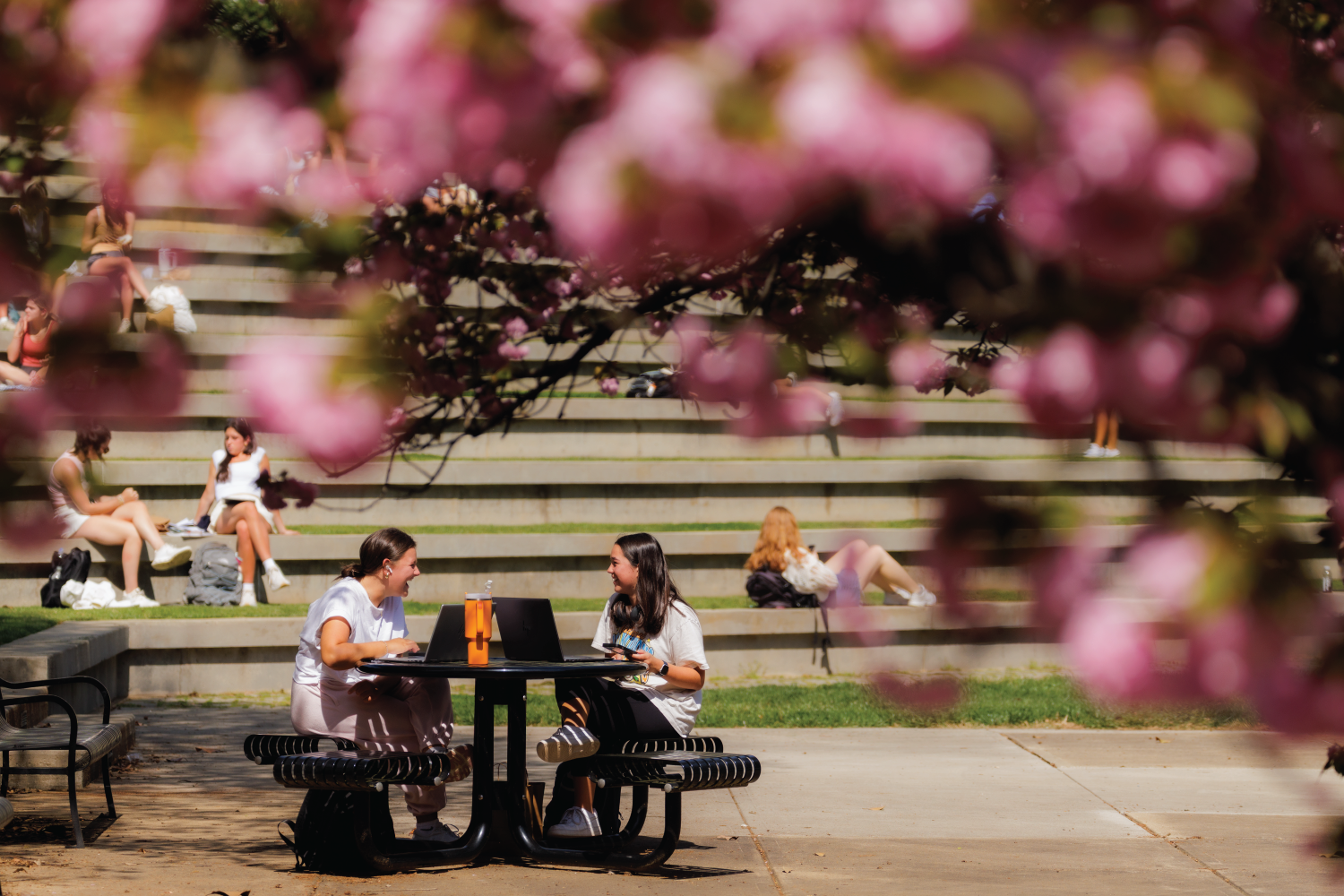 Vols Receive 2025 Boren Awards to Study Abroad - News