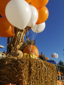 The Autumn in Knoxville Fall Festival is Today - News